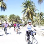 Miami: 2-Hour Art Deco Bike Tour - Why This Tour Works Well for You
