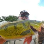 Miami Airport Lakes Peacock Bass Fishing Trip (1 to 4 ppl) - Whats Included and Whats Not