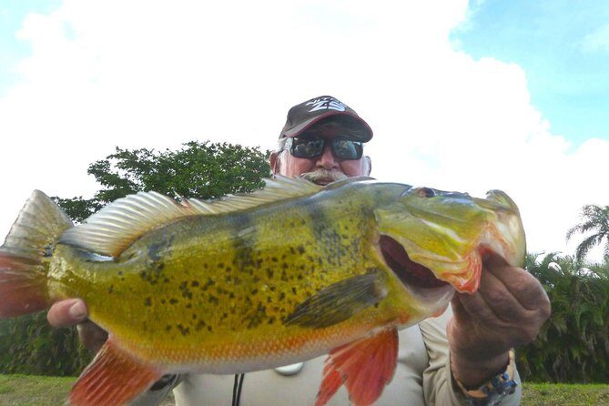 Miami Airport Lakes Peacock Bass Fishing Trip (1 to 4 ppl) - Whats Included and Whats Not