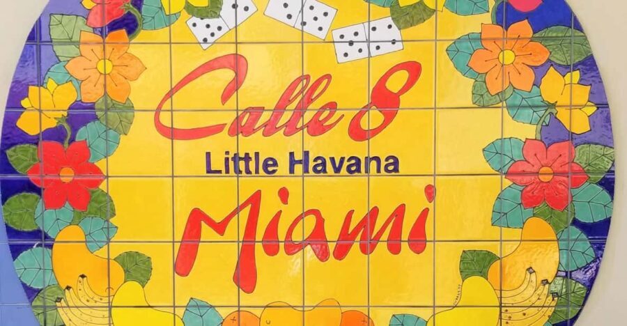 Miami and Miami Beach Private Sightseeing Tour - Analyzing the Value and Experience