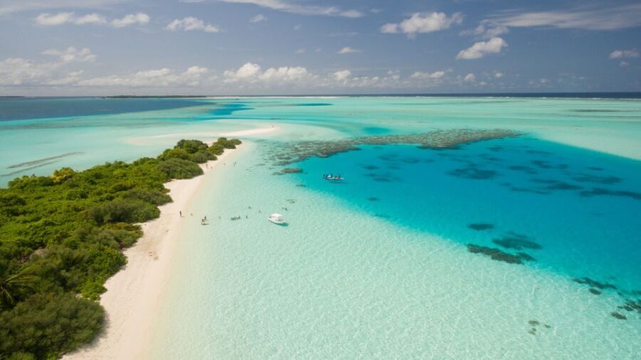 Miami: Bahamas Full-Day Trip by Ferry - The Sum Up