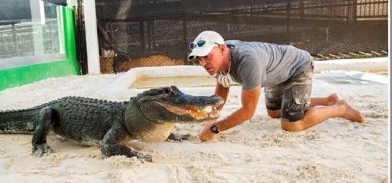 Miami Beach: Everglades Airboat Tours and Rides - Detailed Breakdown of the Itinerary