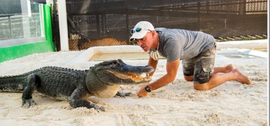 Miami Beach: Everglades Airboat Tours and Rides - Detailed Breakdown of the Itinerary