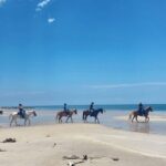 Miami: Beach Horse Ride & Nature Trail - The Value of the Experience