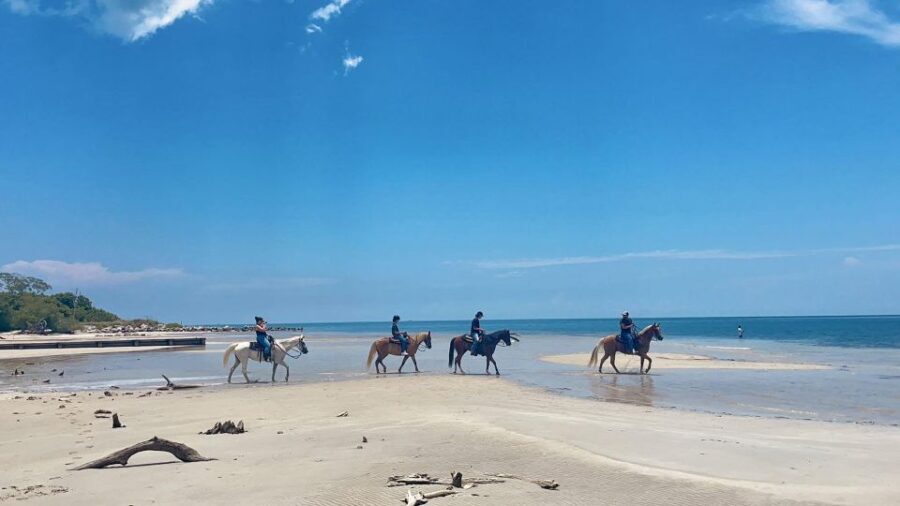 Miami: Beach Horse Ride & Nature Trail - The Value of the Experience