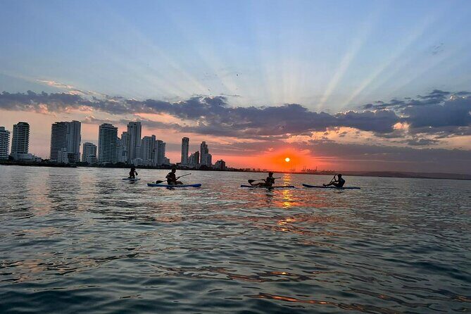Miami Beach Paddleboard Rental with Instruction - The Value for Money