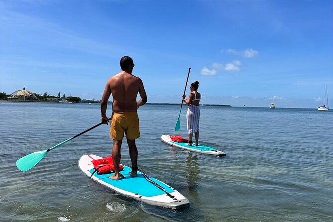 Miami Biscayne Bay Paddle - Detailed Breakdown of the Experience