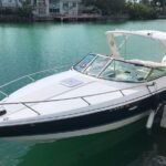 Miami Boat Tour, Haulover Sandbar, Raccoon Island - The Hidden Value of This Tour