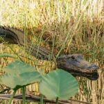 Miami Discovery Tour: 2-Days Hop-On Hop-Off Explore Your Way - The Itinerary- What You Can Expect