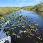 Miami: Everglades Airboat, Photo & Gator Experience - The Itinerary in Detail