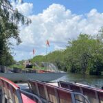 Miami: Everglades Eco-Tour Semi-Private - Exploring the Experience