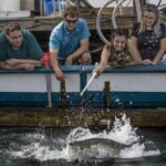 Miami: Giant Fish Feeding Experience - Key Points