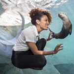 Miami: Go City Explorer Pass - Choose 2 to 5 Attractions - What’s Included and Whats Not