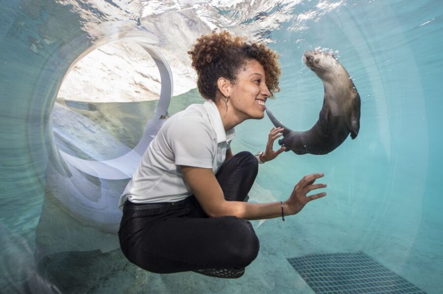 Miami: Go City Explorer Pass - Choose 2 to 5 Attractions - What’s Included and Whats Not