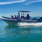Miami: Guided Small Group Boat Tour + Iconic Stiltsville - What’s Included and What to Consider
