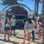 Miami: highlights Walking & Sightseeing tour - Key Points