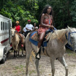 Miami: Horseback Riding in South Beach - The Sum Up: Who Should Consider This Tour?