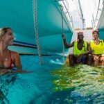 MIAMI: Key West Dolphin Watch Tour and other options - A detailed look at this Key West tour