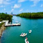 Miami: Paddle Board or Kayak Rental in Virginia Key - The Itinerary: What to Expect