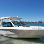 Miami: Private Star island, Miami Skyline & Miami River Tour - What Makes This Tour Stand Out?