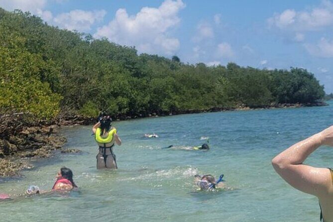 Miami: Snorkeling Adventure in Miami for Beginners Private Yacht - Who Should Consider This Tour?