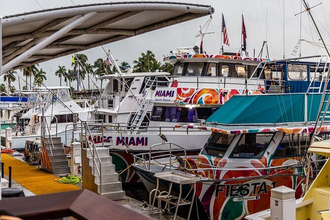 Miami Sunset and City Lights Cocktail Cruise - What Travelers Love (and What They Don’t)