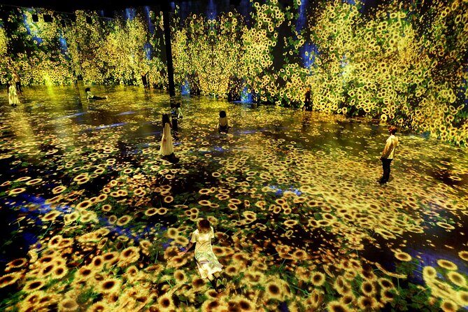 Miami: Superblue Miami Immersive Art Experience Ticket - Who Will Love Superblue Miami?