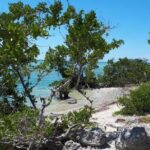 Miami to Key West Day Trip Transportation - The Pros and Cons of This Tour
