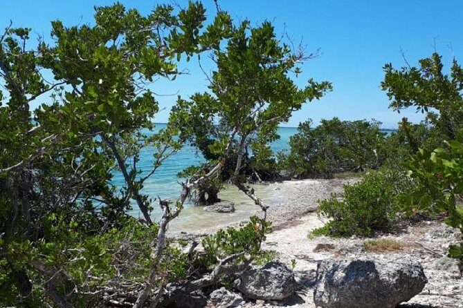 Miami to Key West Day Trip Transportation - The Pros and Cons of This Tour