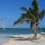 Miami to Key West Overnight Round-Trip Transfer - Transportation and Group Size