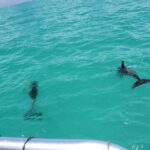 Miami to Key West Shuttle: Dolphin, Snorkeling & More - Who is this tour best for?