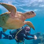 Miami Two Tank Dive Trip - The Dive Sites: Wrecks and Reefs