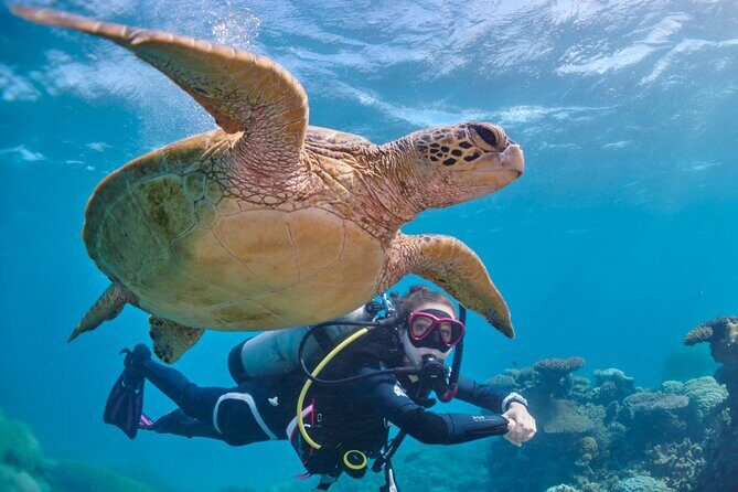 Miami Two Tank Dive Trip - The Dive Sites: Wrecks and Reefs