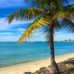 Miami: Windsurfing for Beginners and Experts - The Practicalities and Considerations