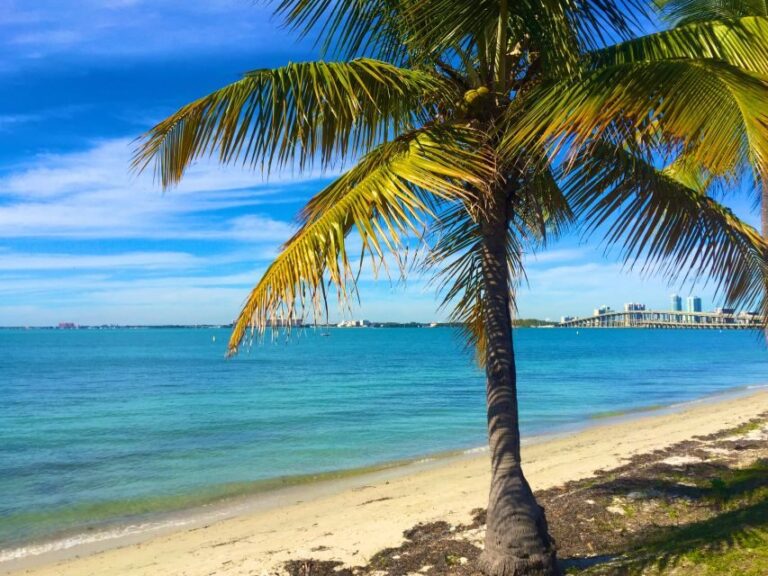 Miami: Windsurfing for Beginners and Experts - The Practicalities and Considerations