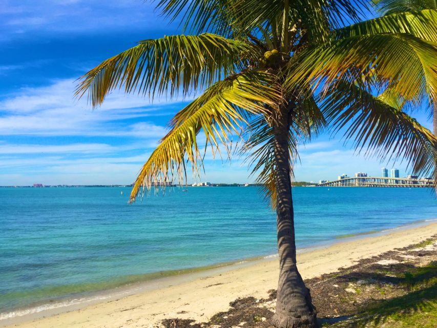 Miami: Windsurfing for Beginners and Experts - The Practicalities and Considerations
