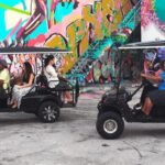 Miami: Wynwood Graffiti Brewery Golf Cart Tour - What Is the Wynwood Graffiti Brewery Golf Cart Tour?