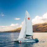 Midday Sail with the Whales Ma'alaea - Diving into the Itinerary