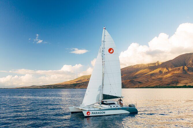 Midday Sail with the Whales Ma'alaea - Diving into the Itinerary
