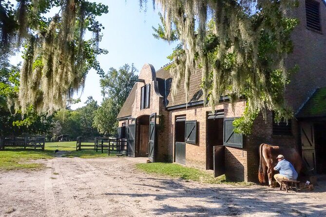 Middleton Place Plantation - 3 hour guided tour - hotel pickup - Middleton Place Grounds and the Main House