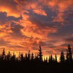 Midnight Sun ATV Adventure 2.5 Hour Tour - Final Thoughts