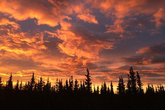 Midnight Sun ATV Adventure 2.5 Hour Tour - Final Thoughts