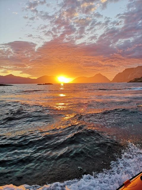 Midnight sun safari - The Itinerary in Detail