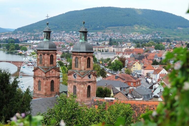 Miltenberg - Private Walking Tour - What Makes This Tour a Great Choice?