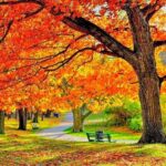 Milwaukee Day Tour from Chicago w/Optional Foliage Season Upgrade - Cost & Value