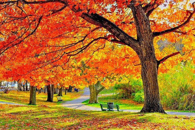 Milwaukee Day Tour from Chicago w/Optional Foliage Season Upgrade - Cost & Value