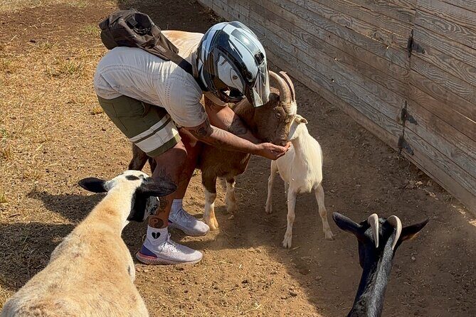 Mini ATVs and Farm Animal Experience - What This Tour Means for Your Visit to Oahu