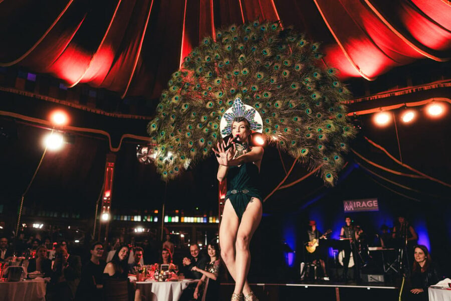 Mirage Vienna: Burlesque Spectacular - Dinner Show - The Show and Its Highlights