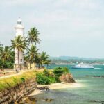Mirissa Whale watching, Stilt Fishing & Turtle Tour From Colombo - What Past Participants Say