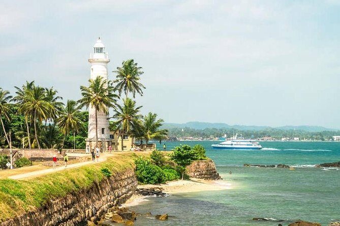 Mirissa Whale watching, Stilt Fishing & Turtle Tour From Colombo - What Past Participants Say